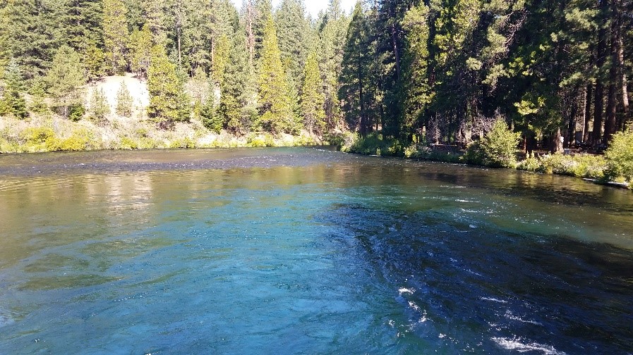 Oregon DEQ releases 2021 Oregon Water Quality Index – AIR, LAND & WATER