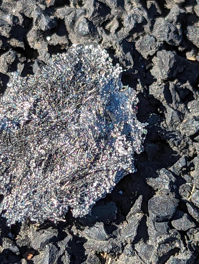 Kmart Fire Asbestos Response – NE Portland – AIR, LAND & WATER